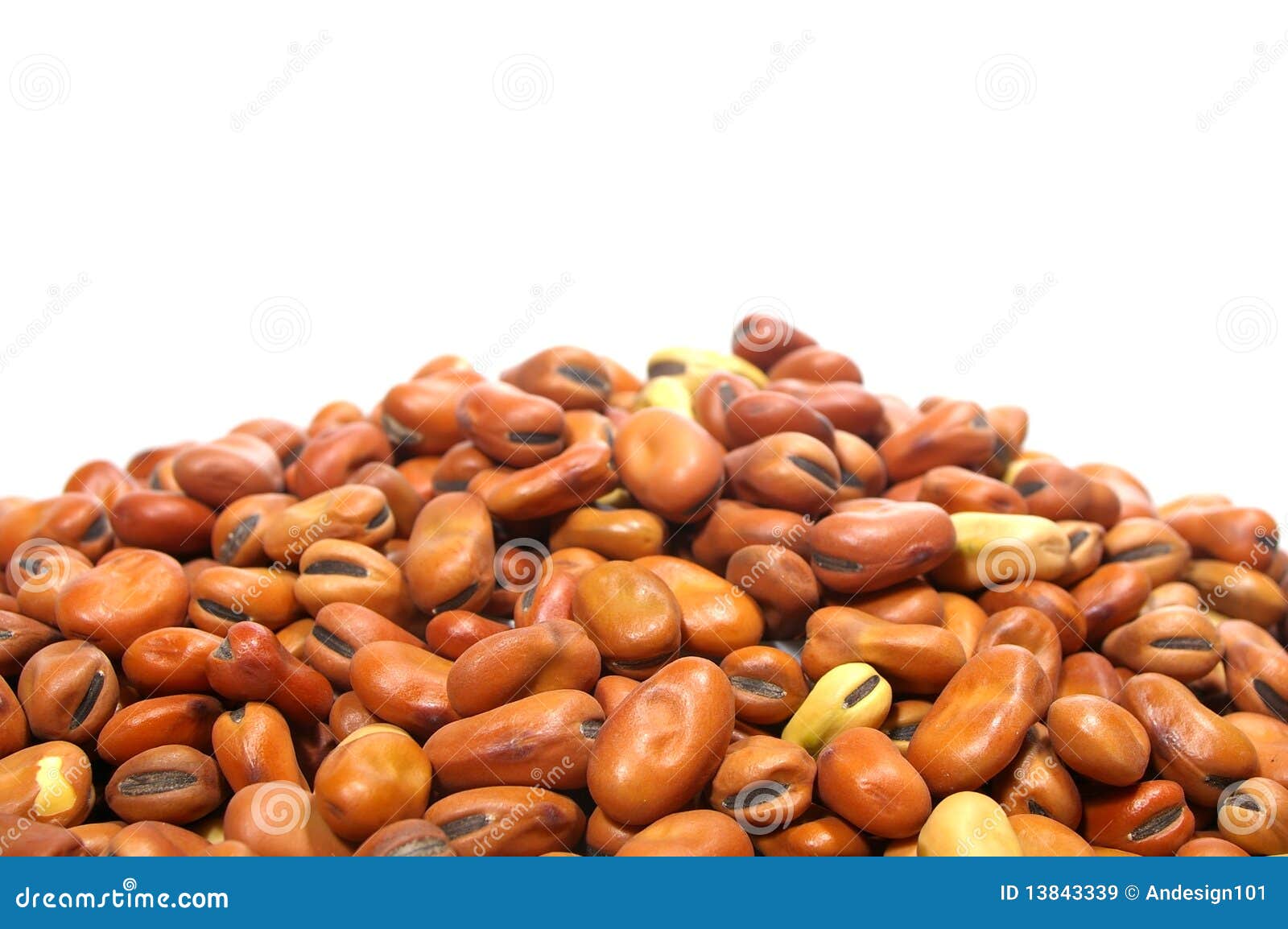 Faba fava beans stock image. Image of close, legume, herbs - 13843339
