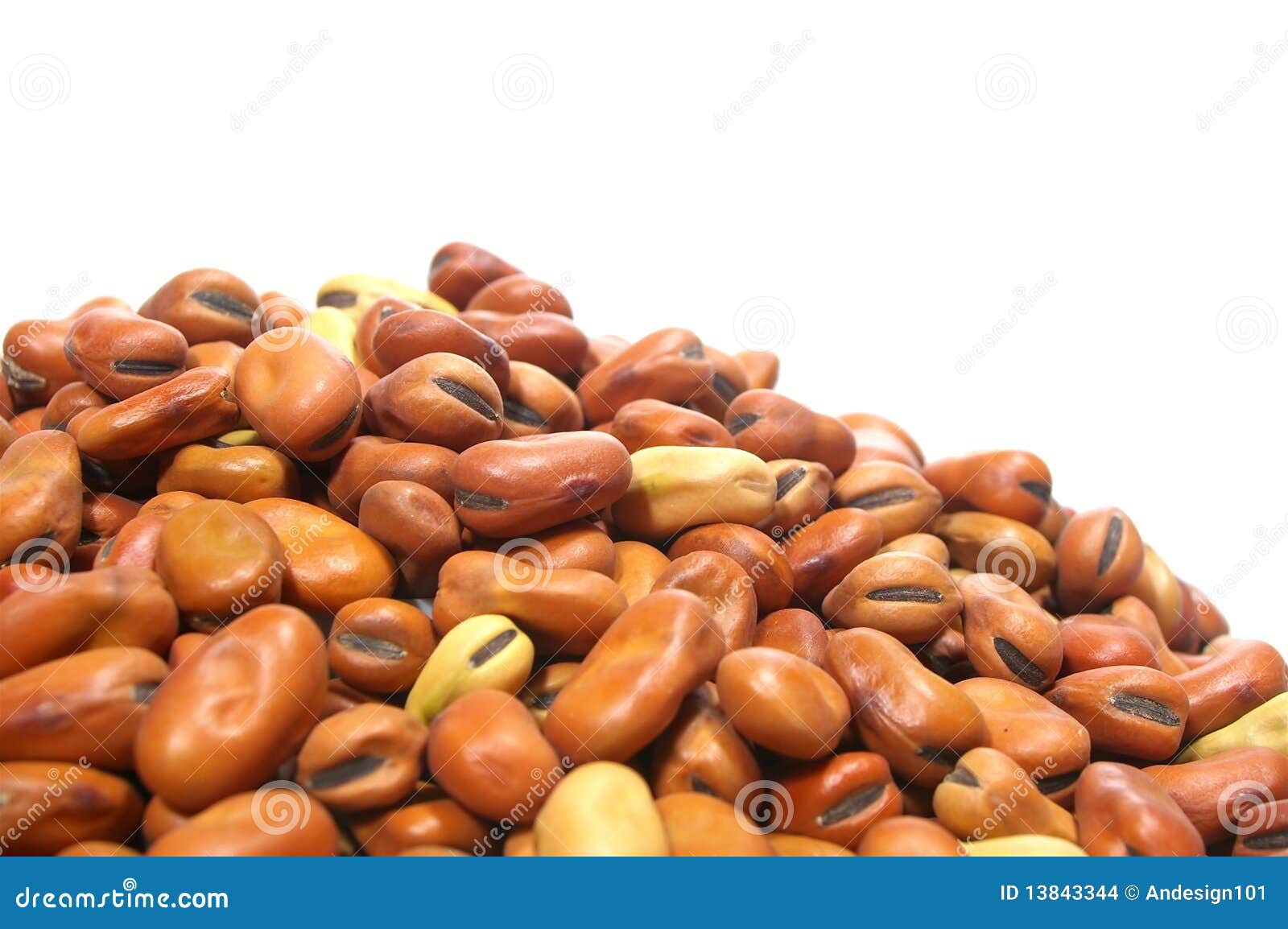 Faba fava beans stock photo. Image of fruit, fresh, cook - 13843344