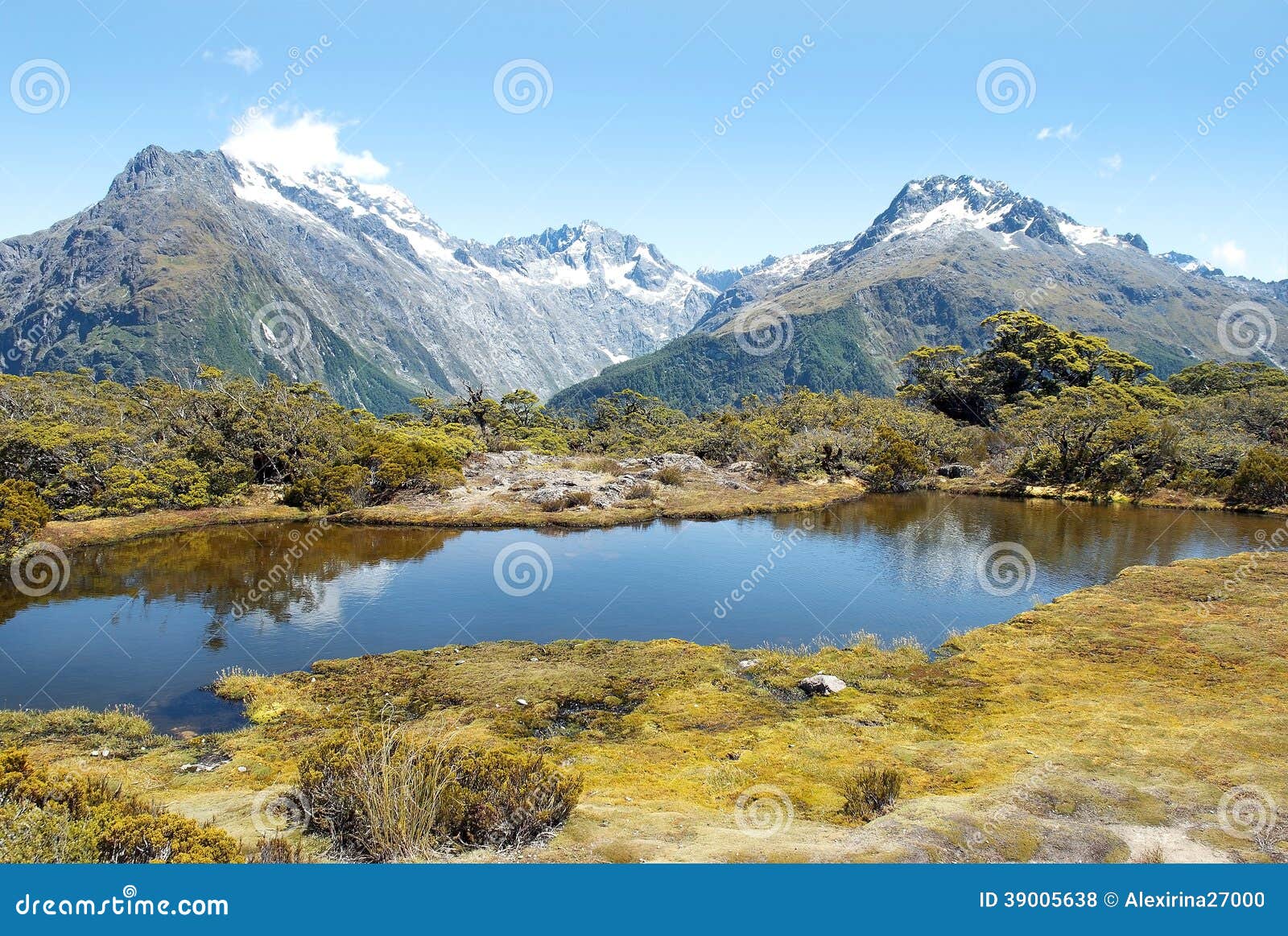 Fabelhafte Landschaft in Neuseeland Stockfoto - Bild von sattel, grün ...