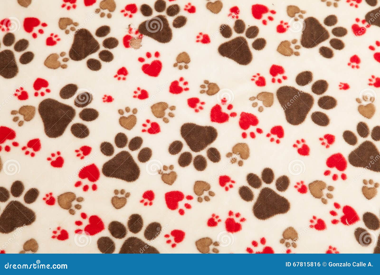 Fabric with Footprints of Pet Stock Photo - Image of foot, step: 67815816