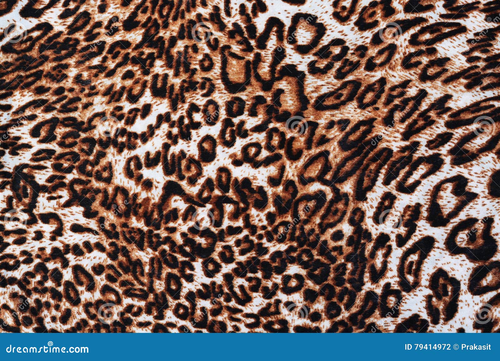 The Fabric of Motifs Leopard on Background Stock Photo - Image of ...