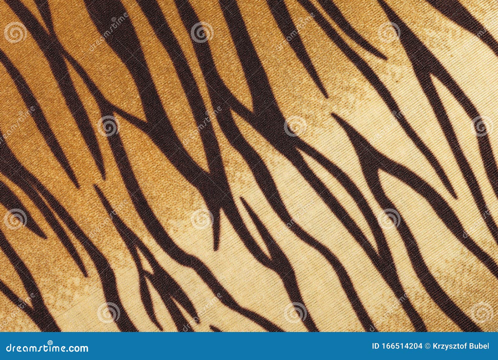 Fabric with the Pattern of a Bengal Tiger Stock Photo - Image of ...