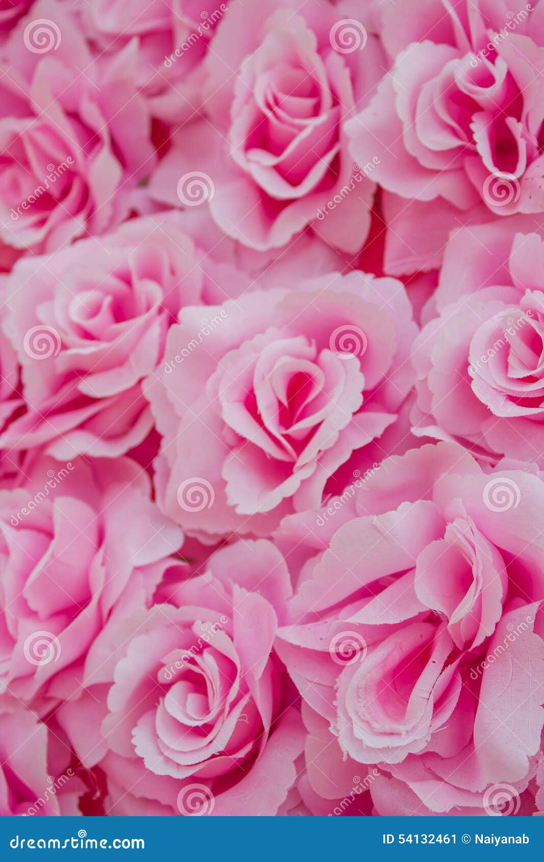 Fabric pink rose stock image. Image of texture, rose - 54132461