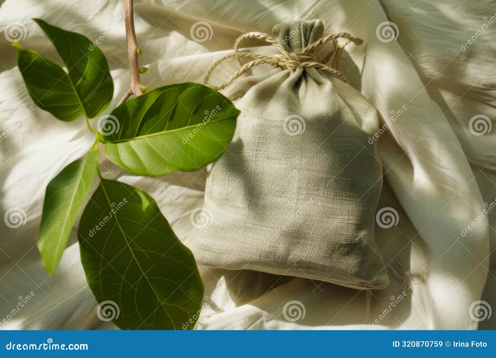 Fabric Pouch with Green Leaf on Light Surface, Plant Behind. Stock ...