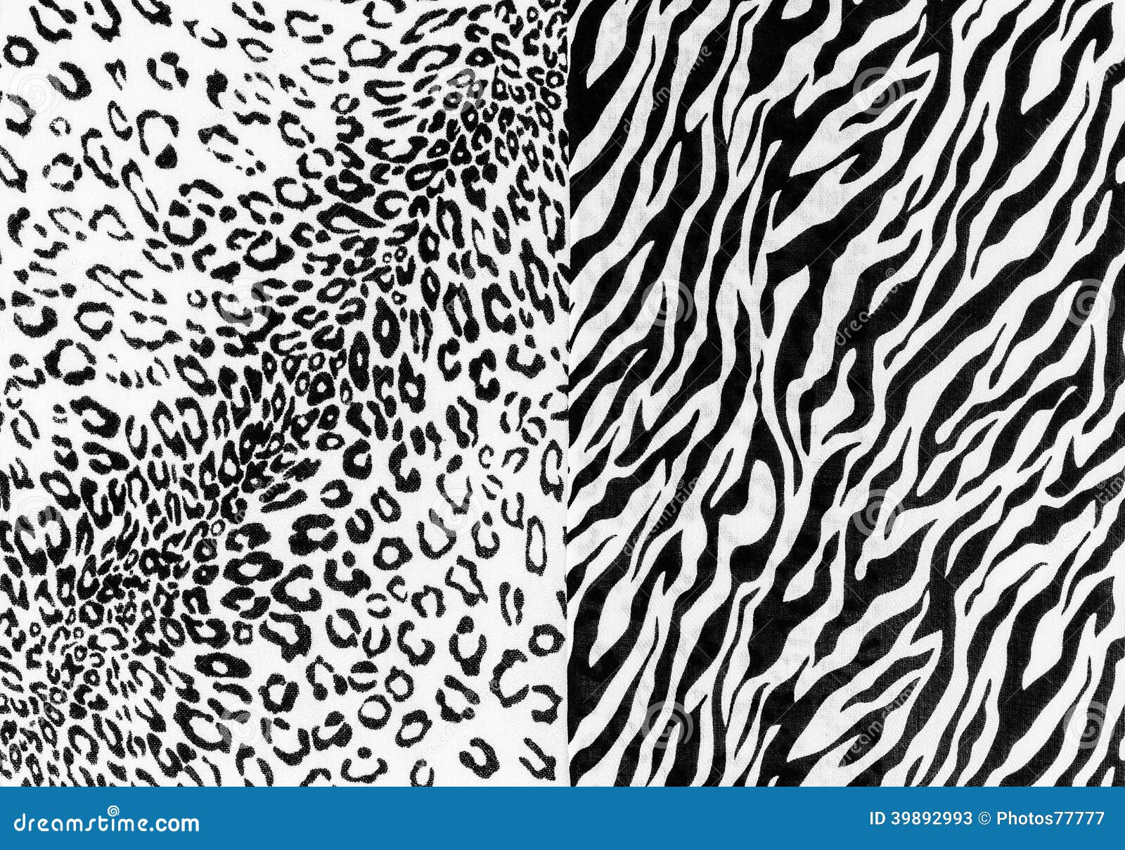 5,755 Striped Leopard Stock Photos - Free & Royalty-Free Stock Photos ...
