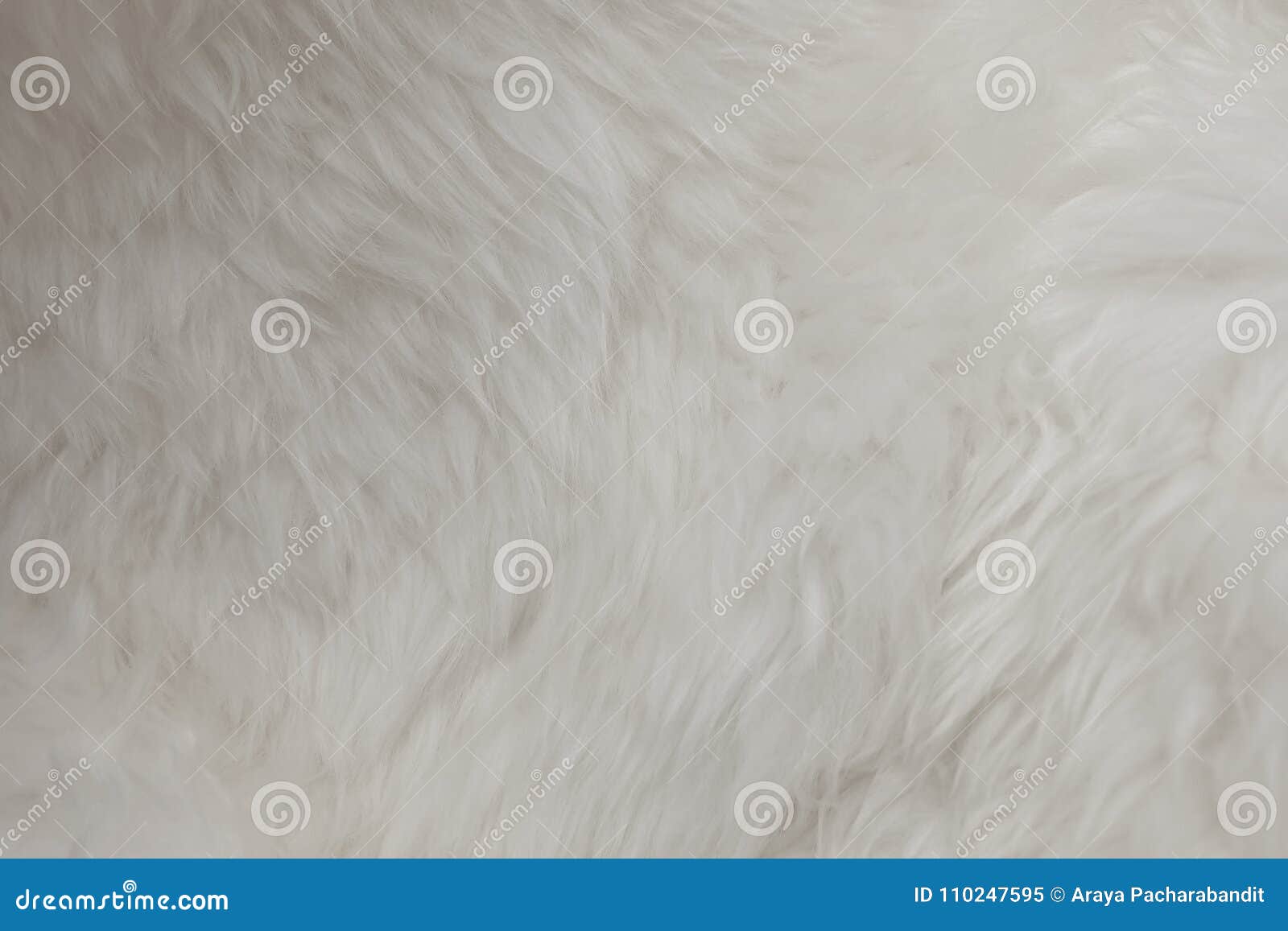 Detail of White Fluffy Wool Texture Background Stock Image - Image of ...
