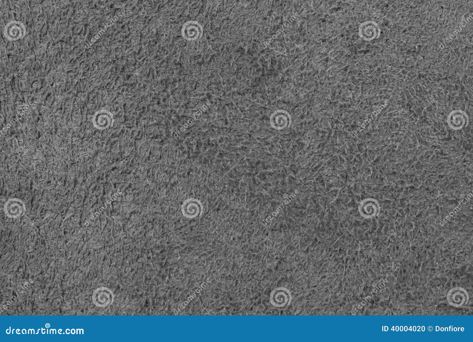 113 Moquette Room Stock Photos - Free & Royalty-Free Stock Photos from ...