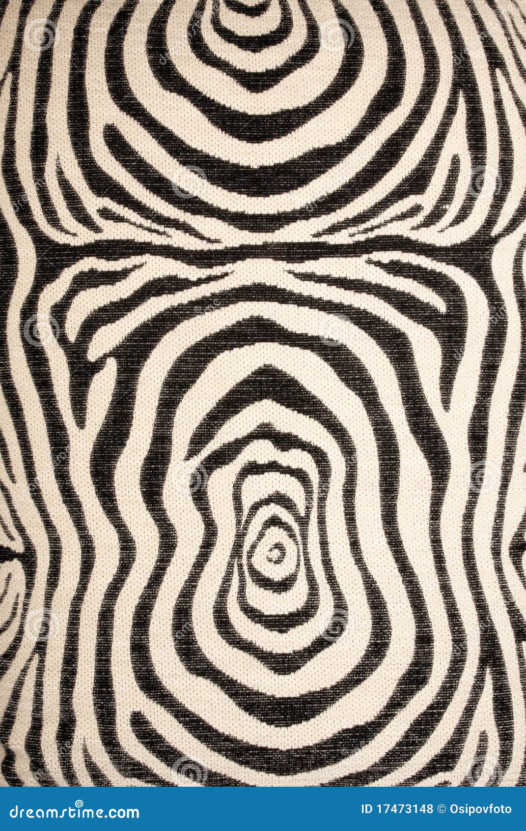 Fabric with zebra pattern stock photo. Image of design - 17473148