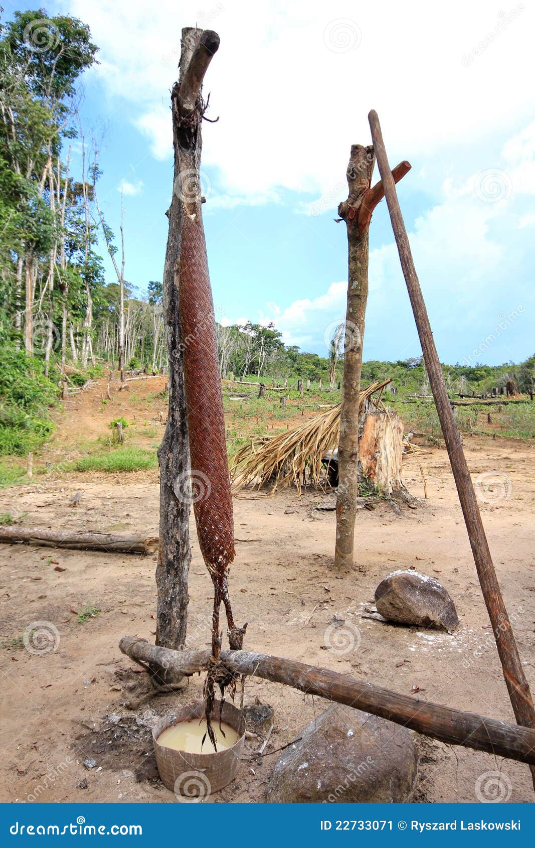 Fabricación De La Tapioca, Venezuela Imagen de archivo - Imagen de ...