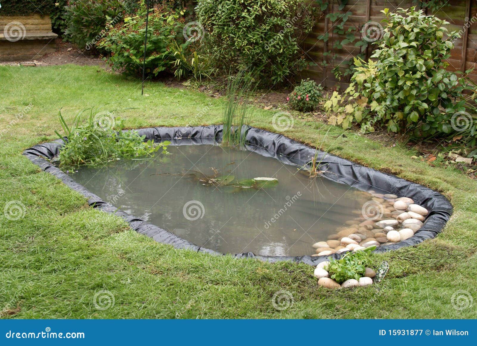 Fabricación De Una Charca Del Jardín Imagen de archivo - Imagen de ...