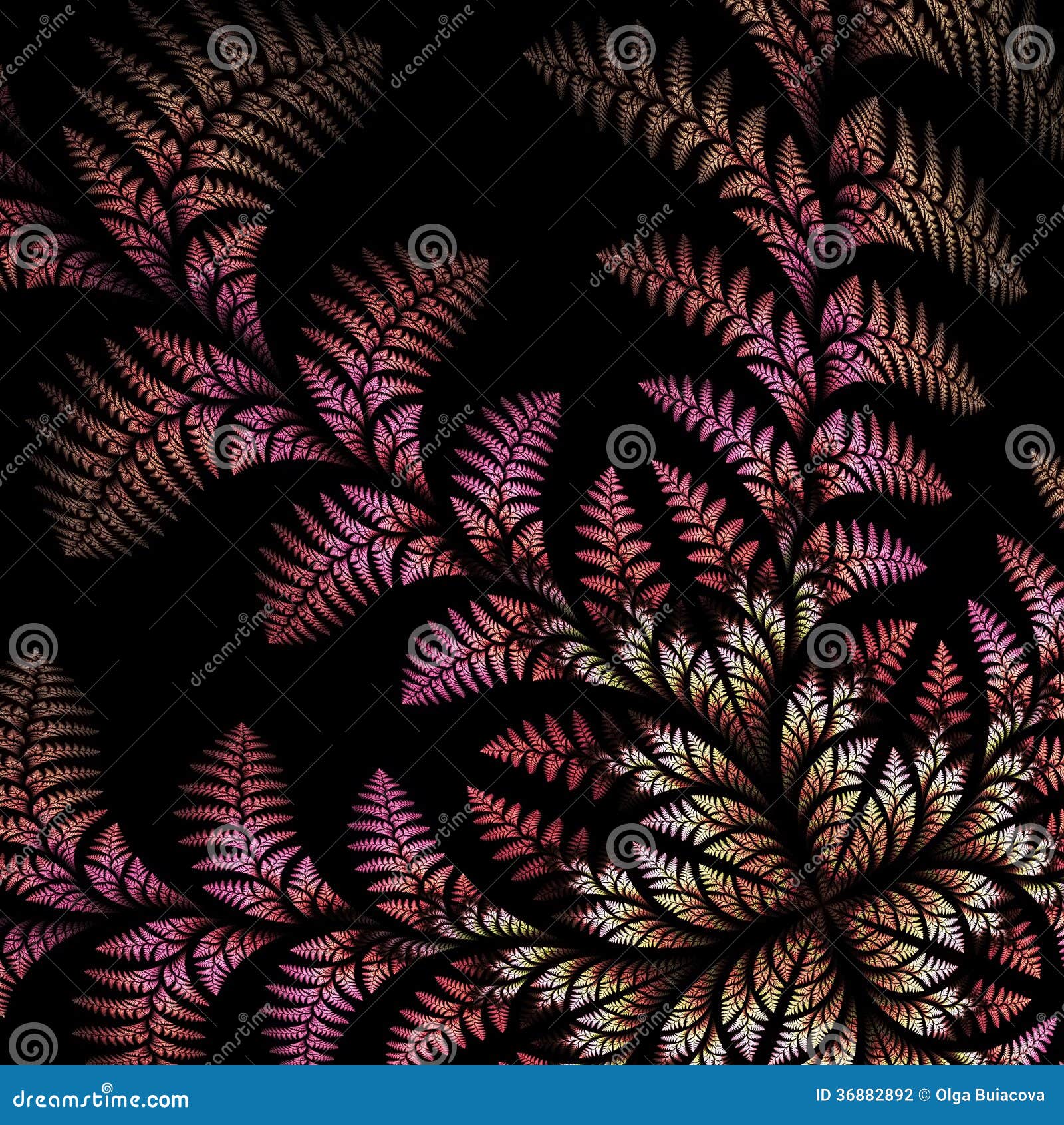Fabulous Asymmetrical Pattern of the Leaves on Black Background. Stock ...