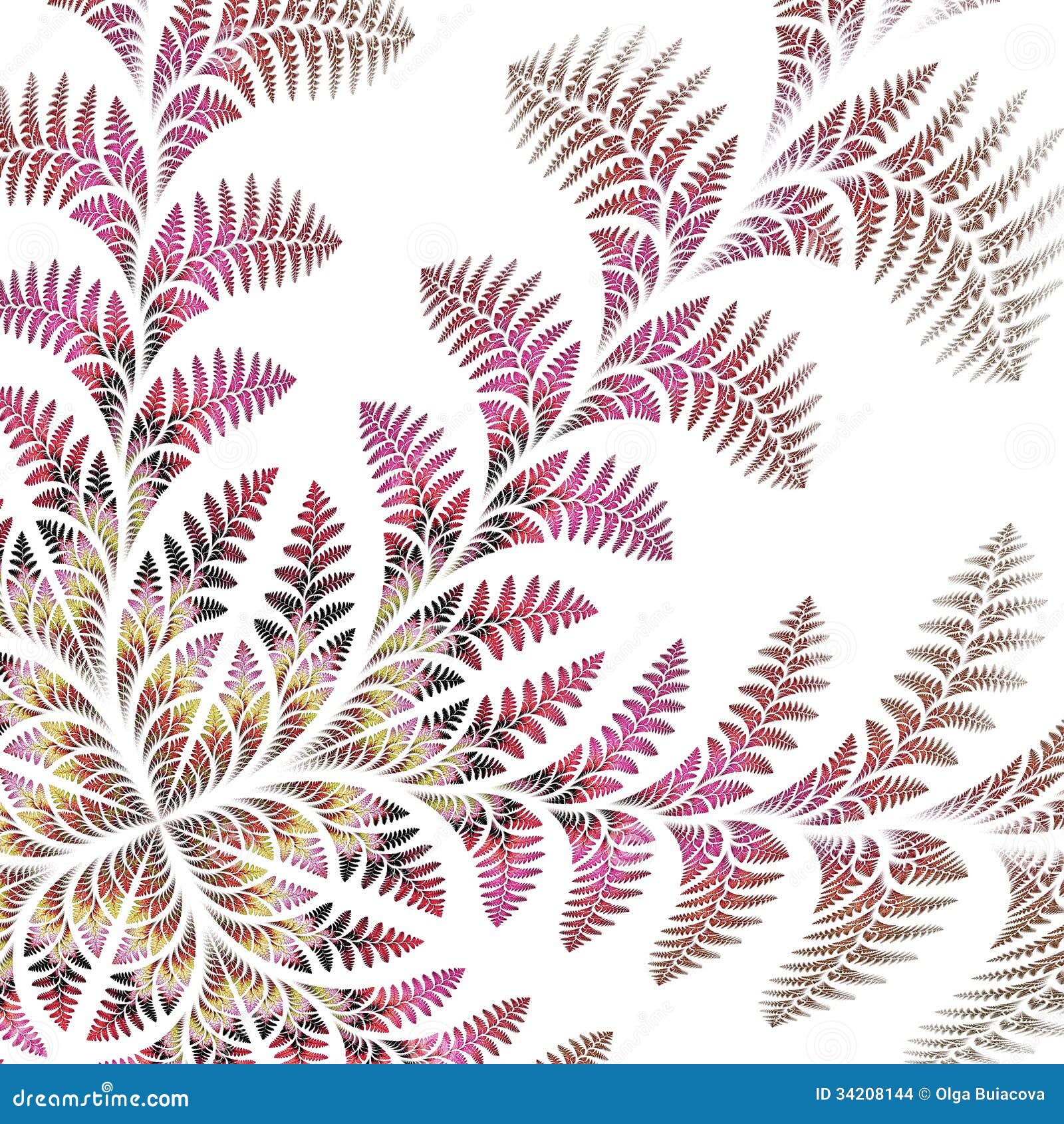 Fabulous Asymmetrical Pattern of the Leaves on White Background. Stock ...
