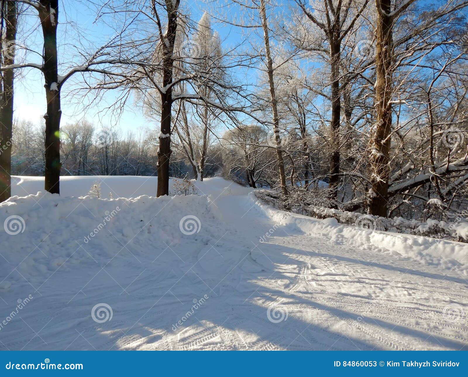 A Fabulous Beautiful Forest in Winter on a Cold Morning Stock Image ...