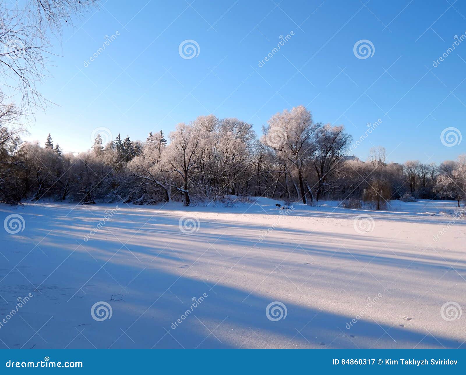 A Fabulous Beautiful Forest in Winter on a Cold Morning Stock Image ...