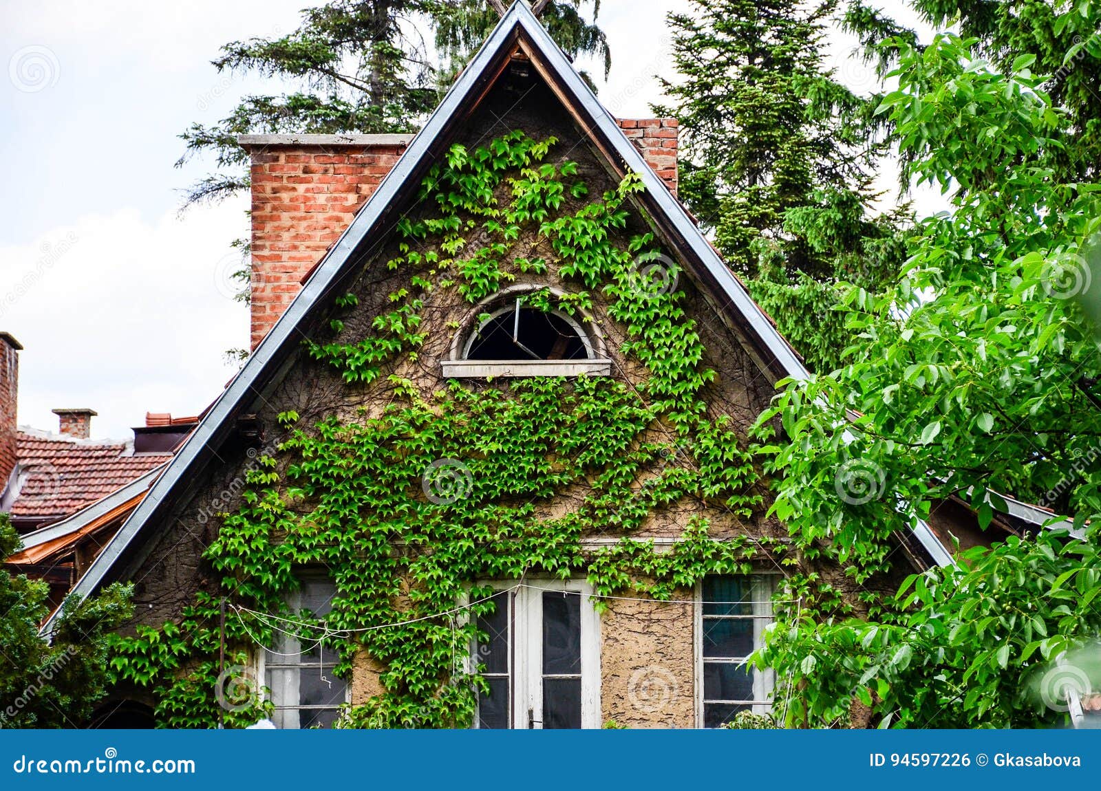 Fabulous ivy house stock photo. Image of frame, climbing - 94597226