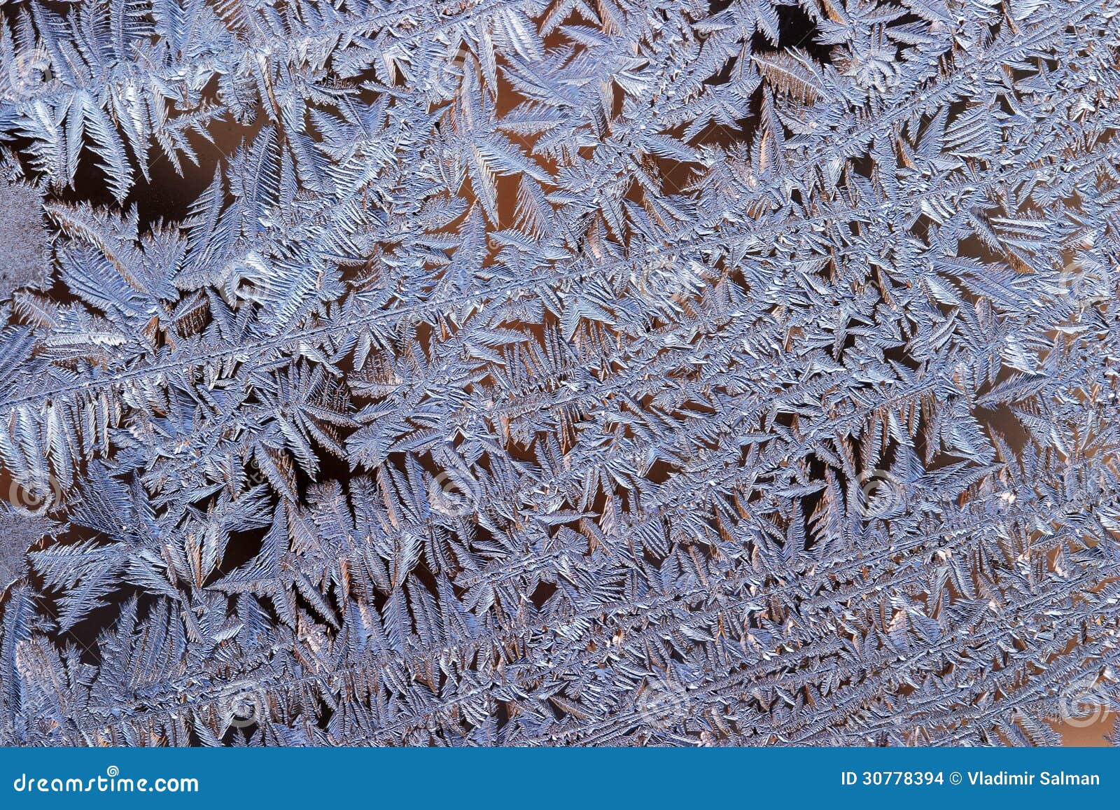 Fabulous patterns of frost stock photo. Image of shiny - 30778394