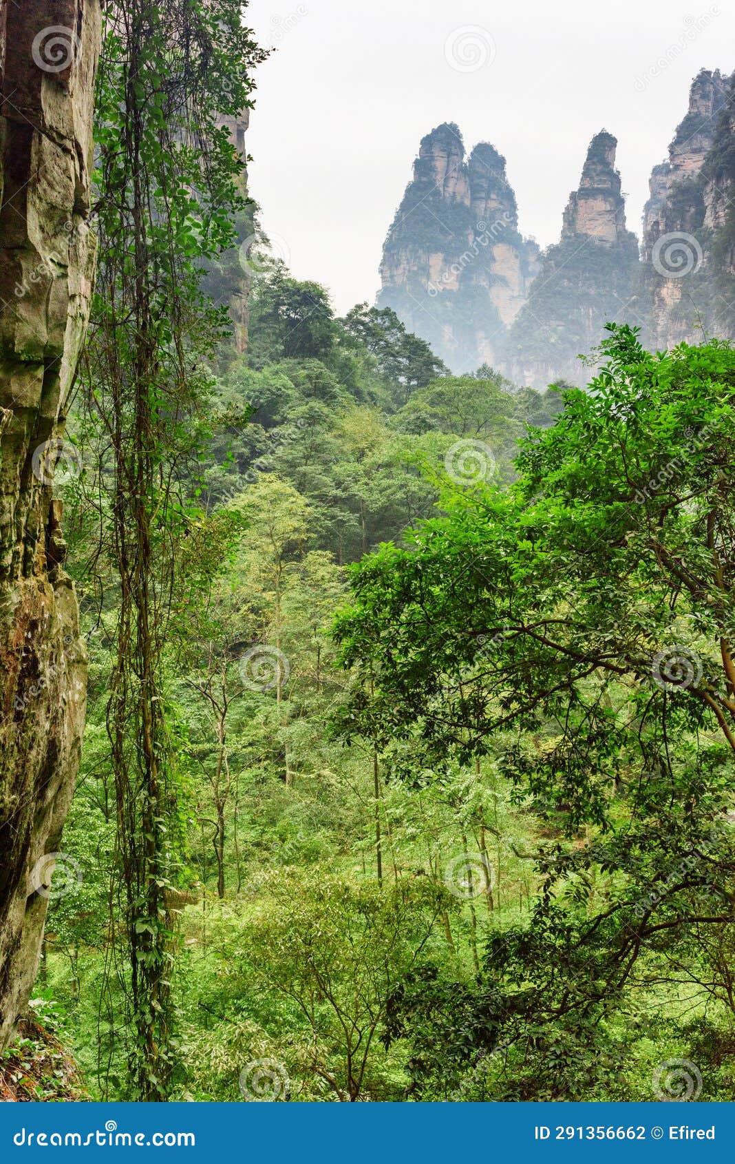 Fabulous View of Quartz Sandstone Pillars (Avatar Mountains Stock Photo ...