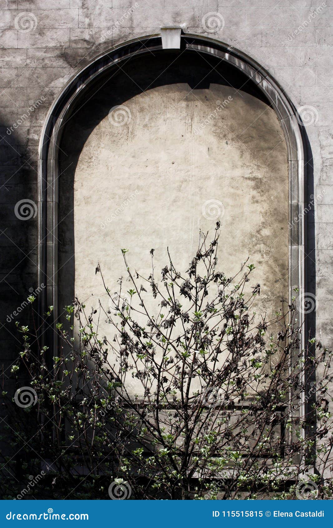 Blind Arch Stock Images - Download 299 Royalty Free Photos