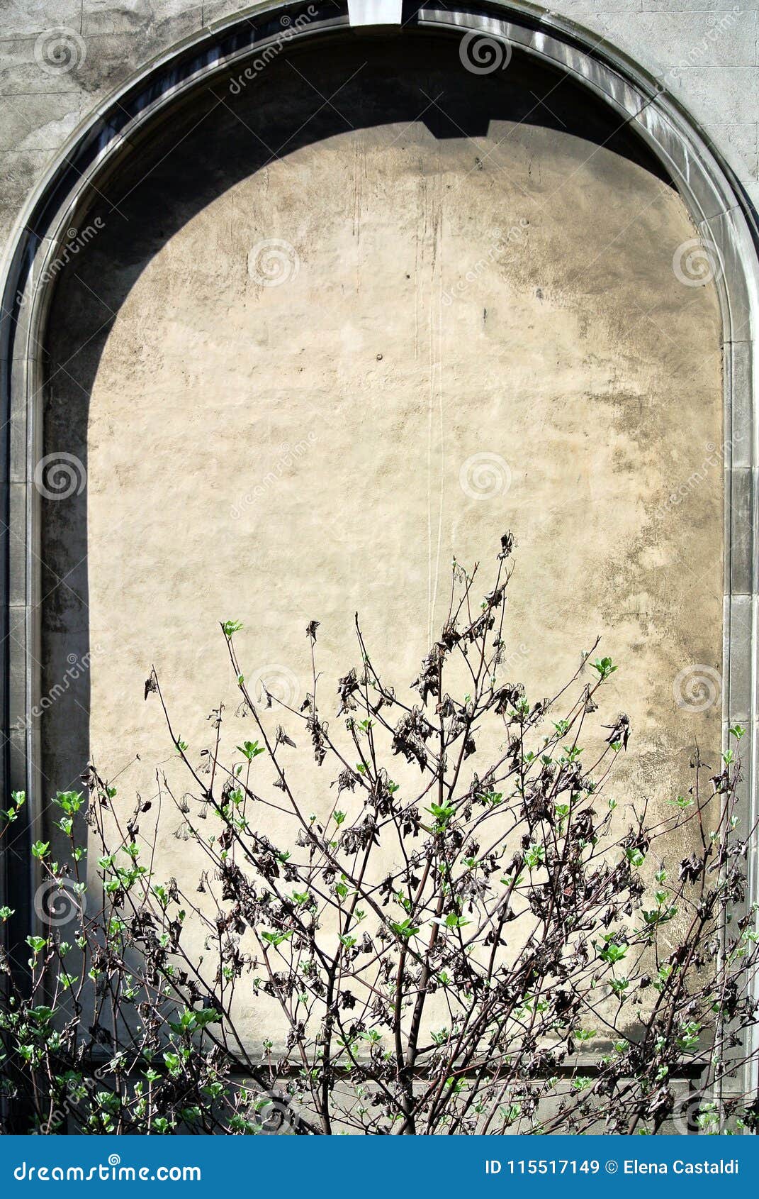 Facade of Building with Blind Arch Stock Image - Image of cement ...