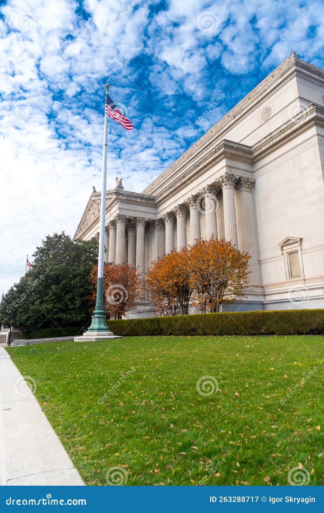 FDP Flag At The National Office Of The Party At Hans-Dietrich-Genscher ...
