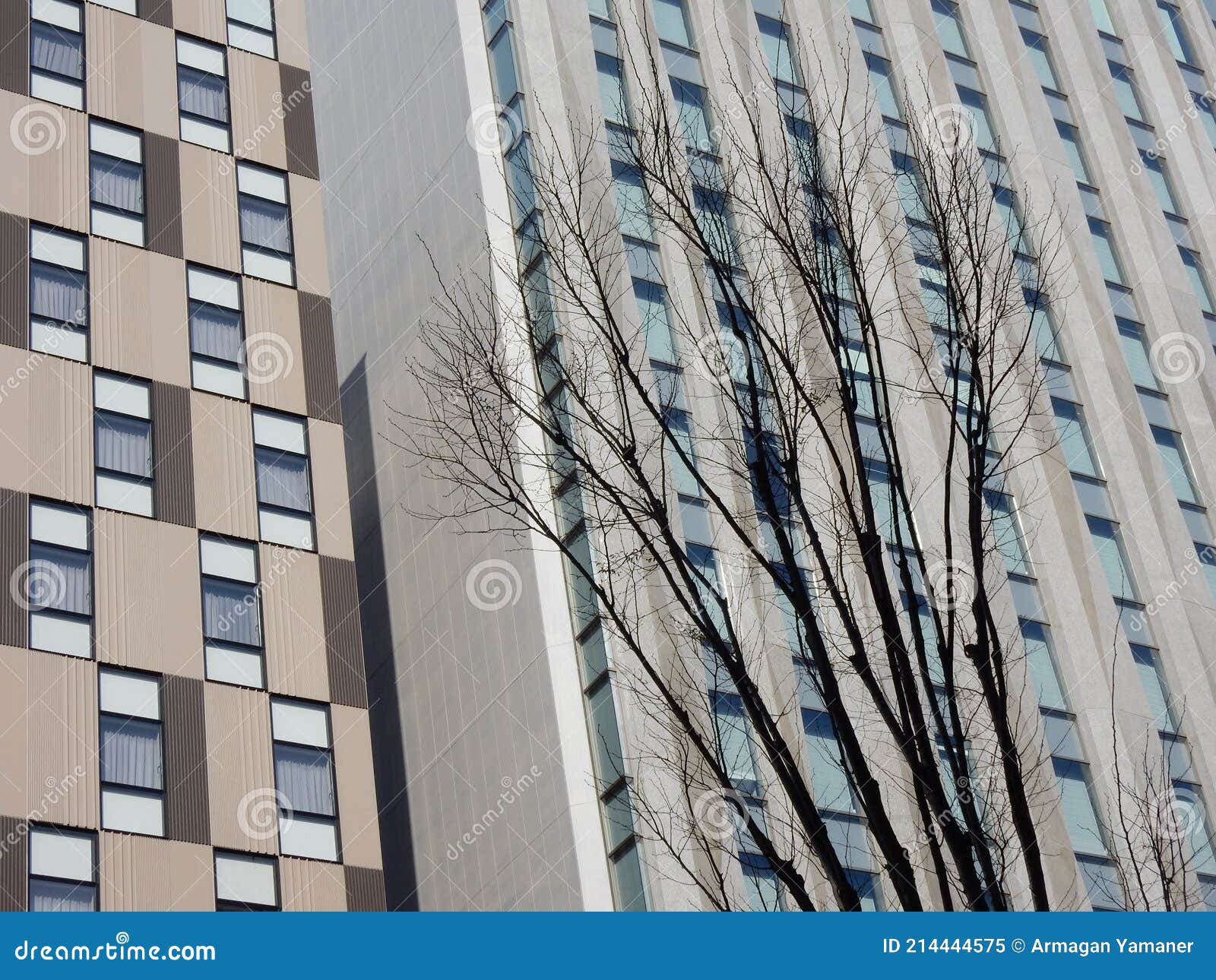 Facade of a Building High Angle View Stock Image - Image of windows ...