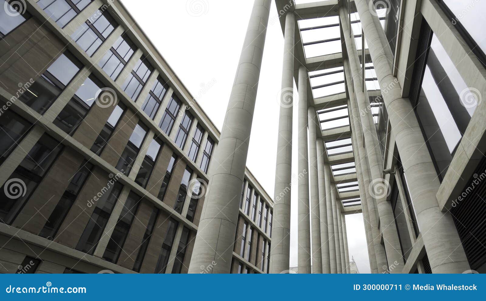 Facade of a Building with Marble Columns. Action. Bottom View of a ...