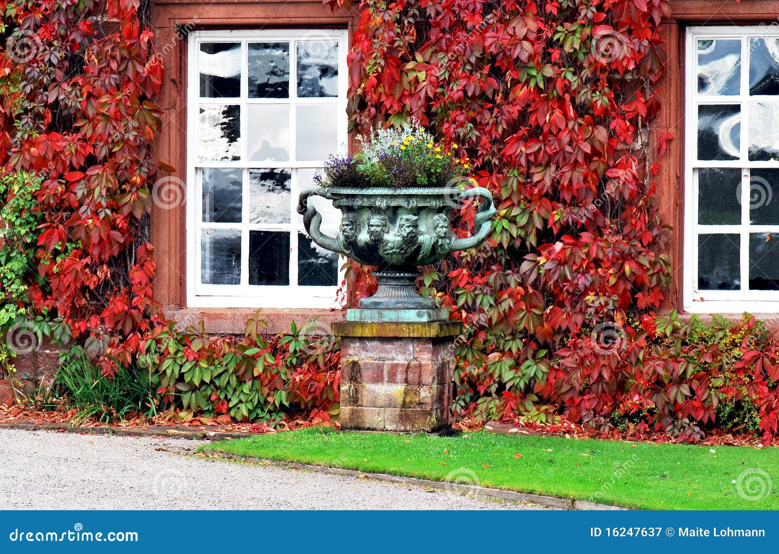 Facade with Colourful Climbing Plants Stock Image - Image of decorative ...