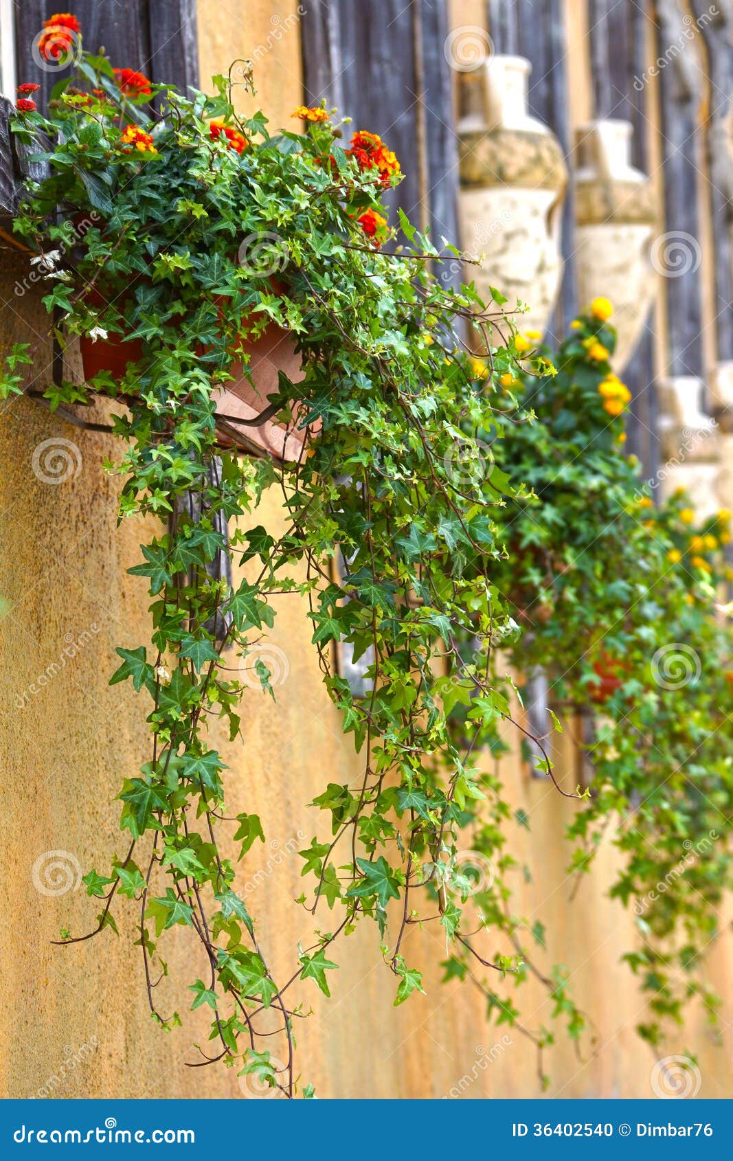 Facade Decorated with Flowers Stock Photo - Image of decoration ...
