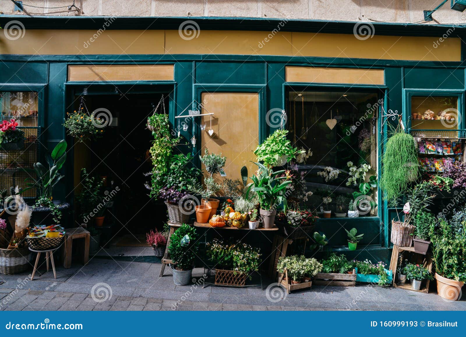 Facade of Flower Shop with Various Different Types of Plants on Display ...