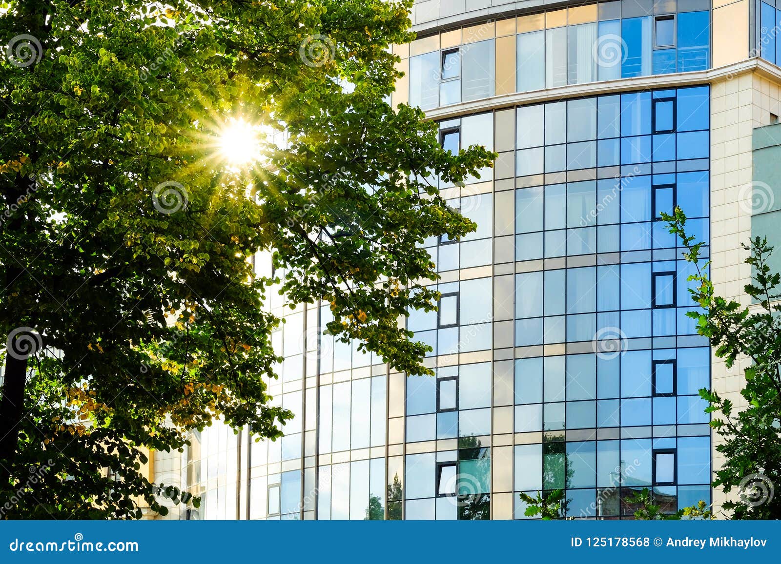 Reflection of the Sun in the Facade Windows. Rays through the Leaves of ...