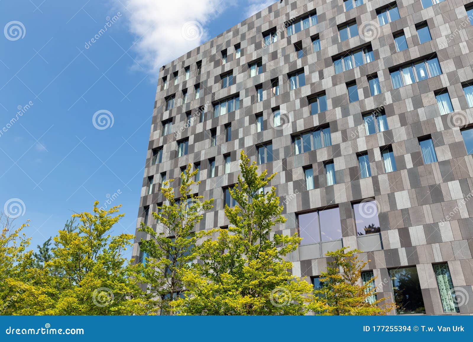 Facade with Grey Rectangles Office Building with Trees in Front Stock ...