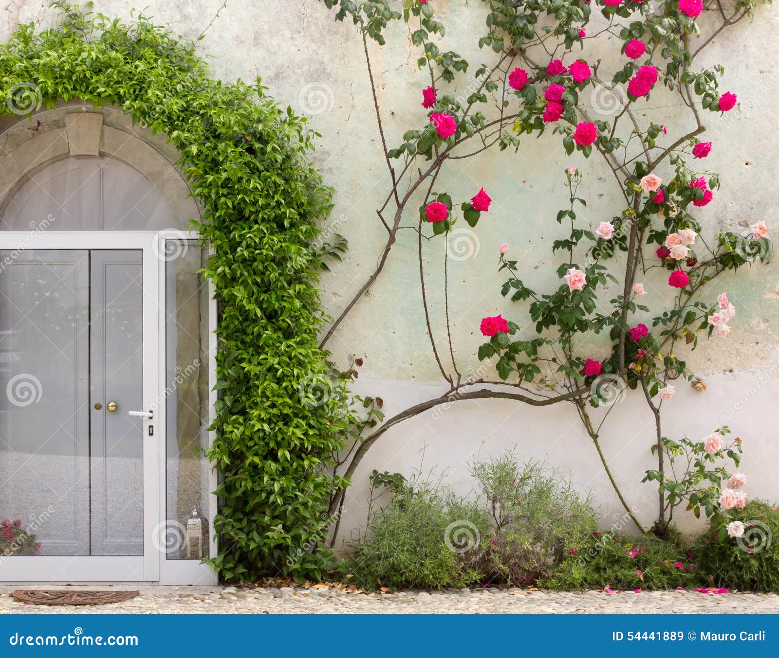 Facade of Historic Building Covered by Ivy and Roses Stock Image ...