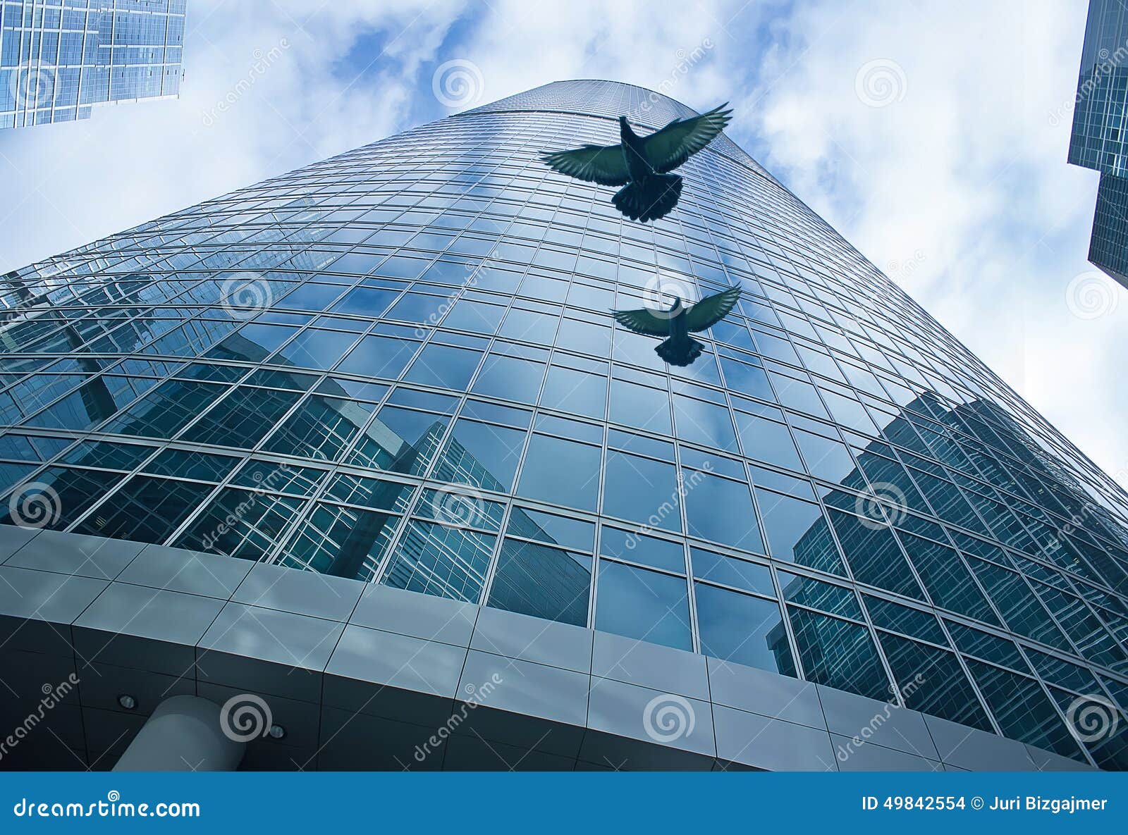 Facade Modern Building and Flying Pigeons Stock Photo - Image of estate ...