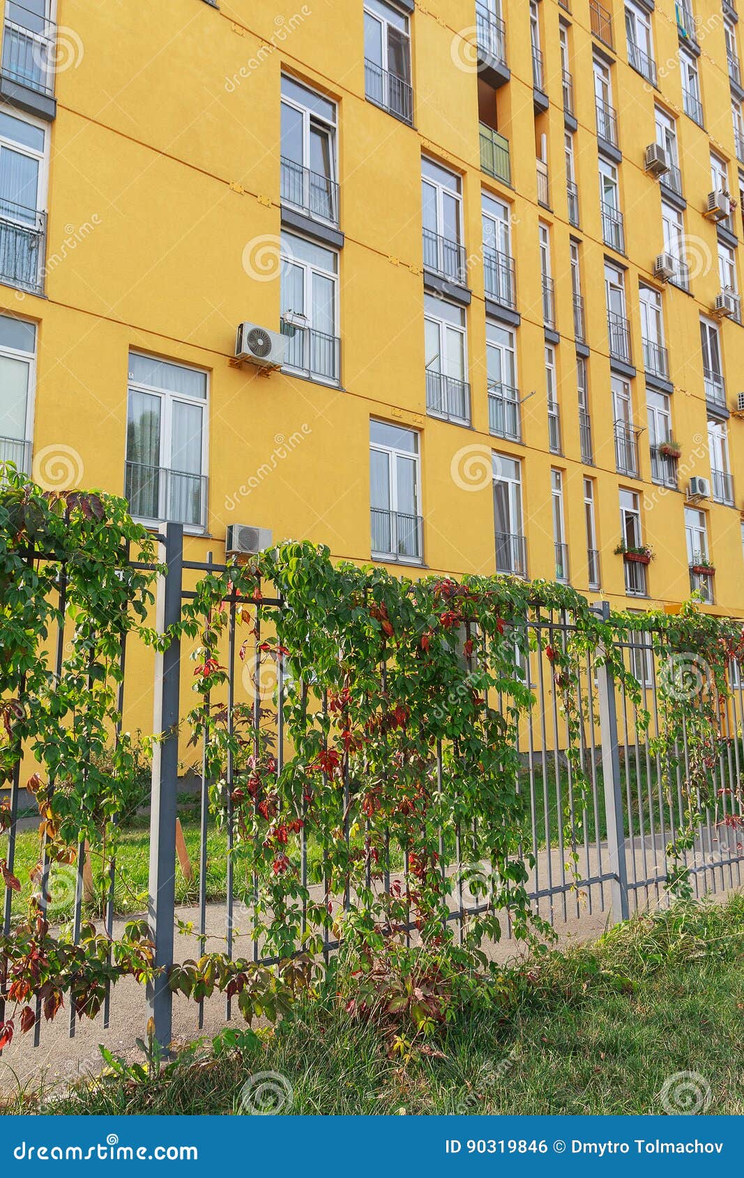 Facade of a Modern Multi-storey House and a Fence with Ivy Stock Photo ...