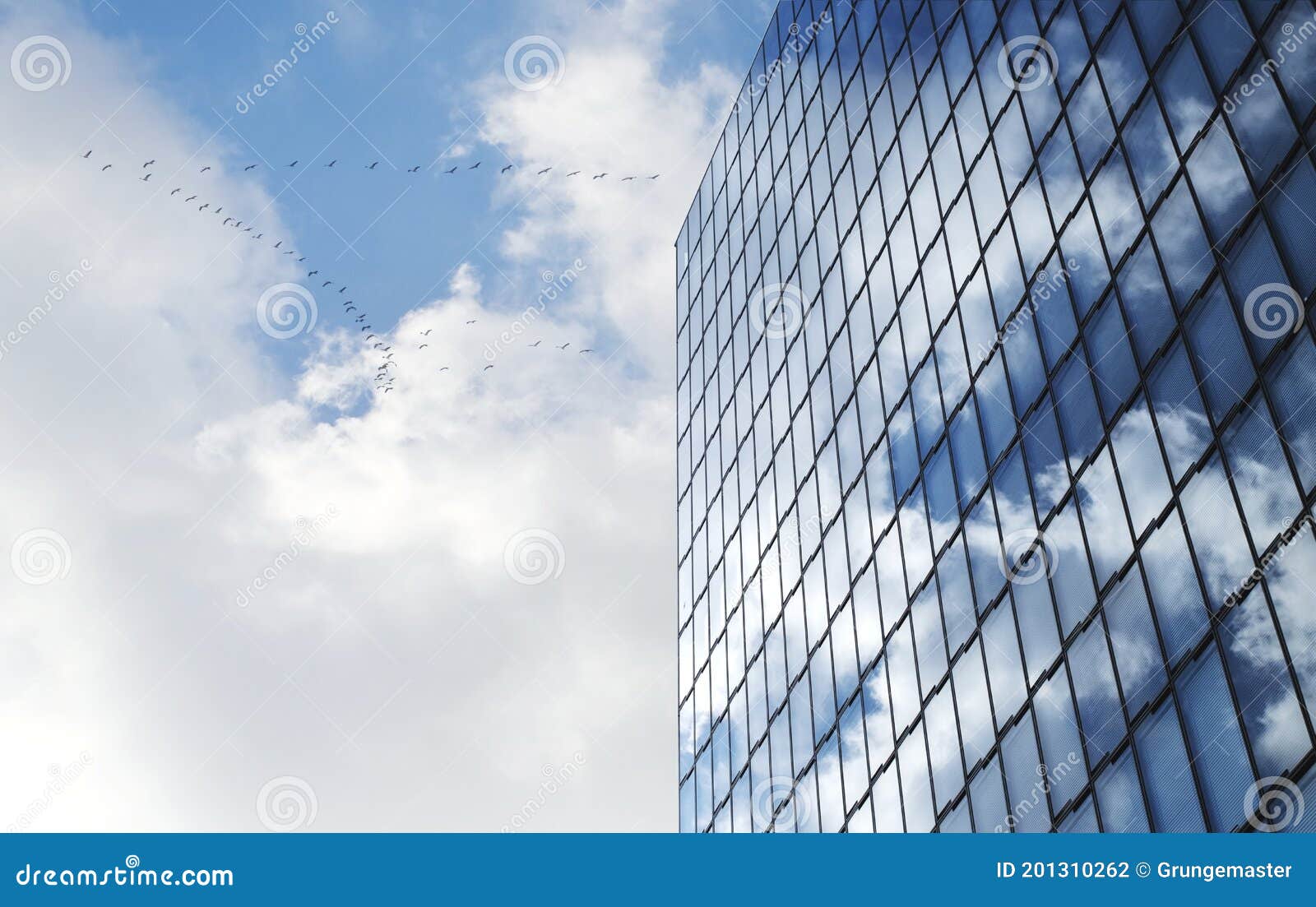 Facade of Modern Skyscraper with Reflection of Cloudy Sky and a Flock ...