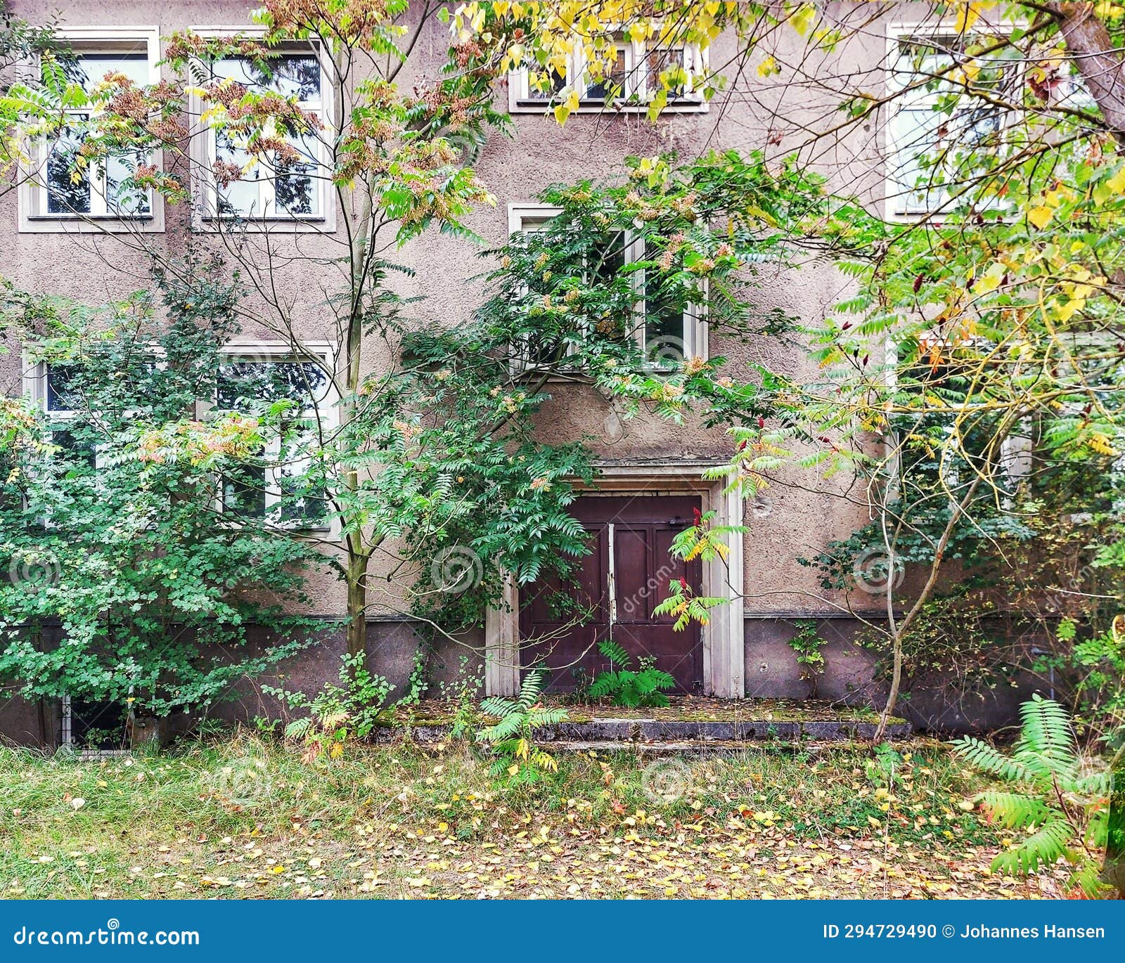 Facade of an Old German Building with Dense Vegetation Stock Photo ...