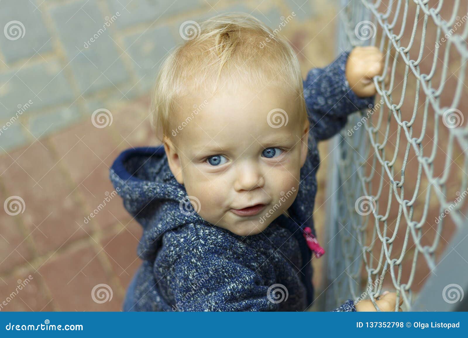 Face of Adorable Little Kid Looking Up Stock Photo - Image of lookingup ...