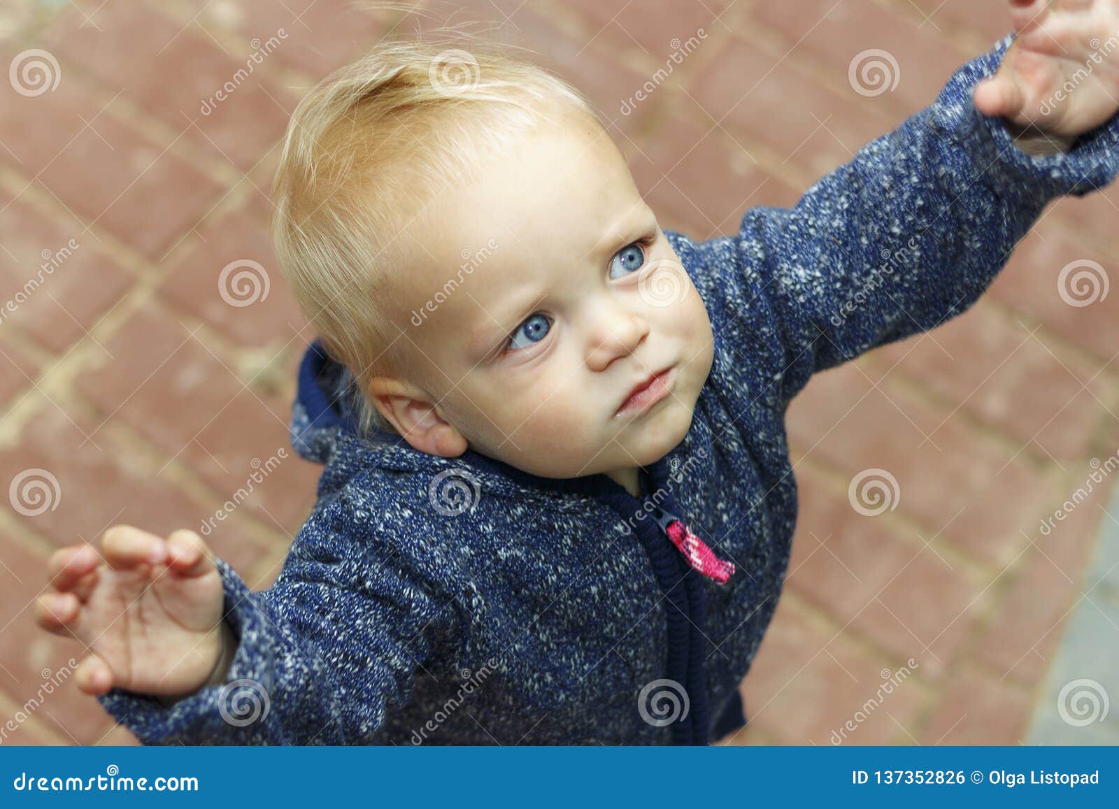 Face of Adorable Little Kid Looking Up Stock Photo - Image of happy ...