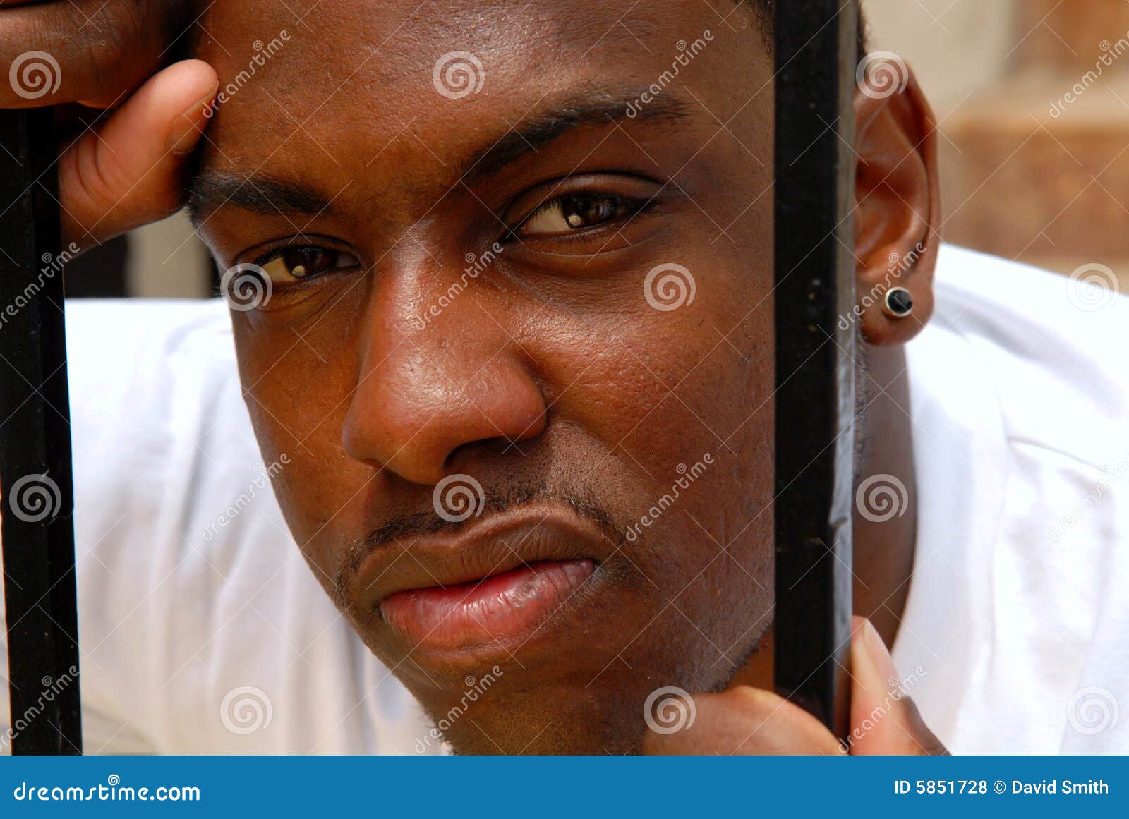 Angry African Buffalo Bull With Big Horns Is Standing Sideways Stock ...