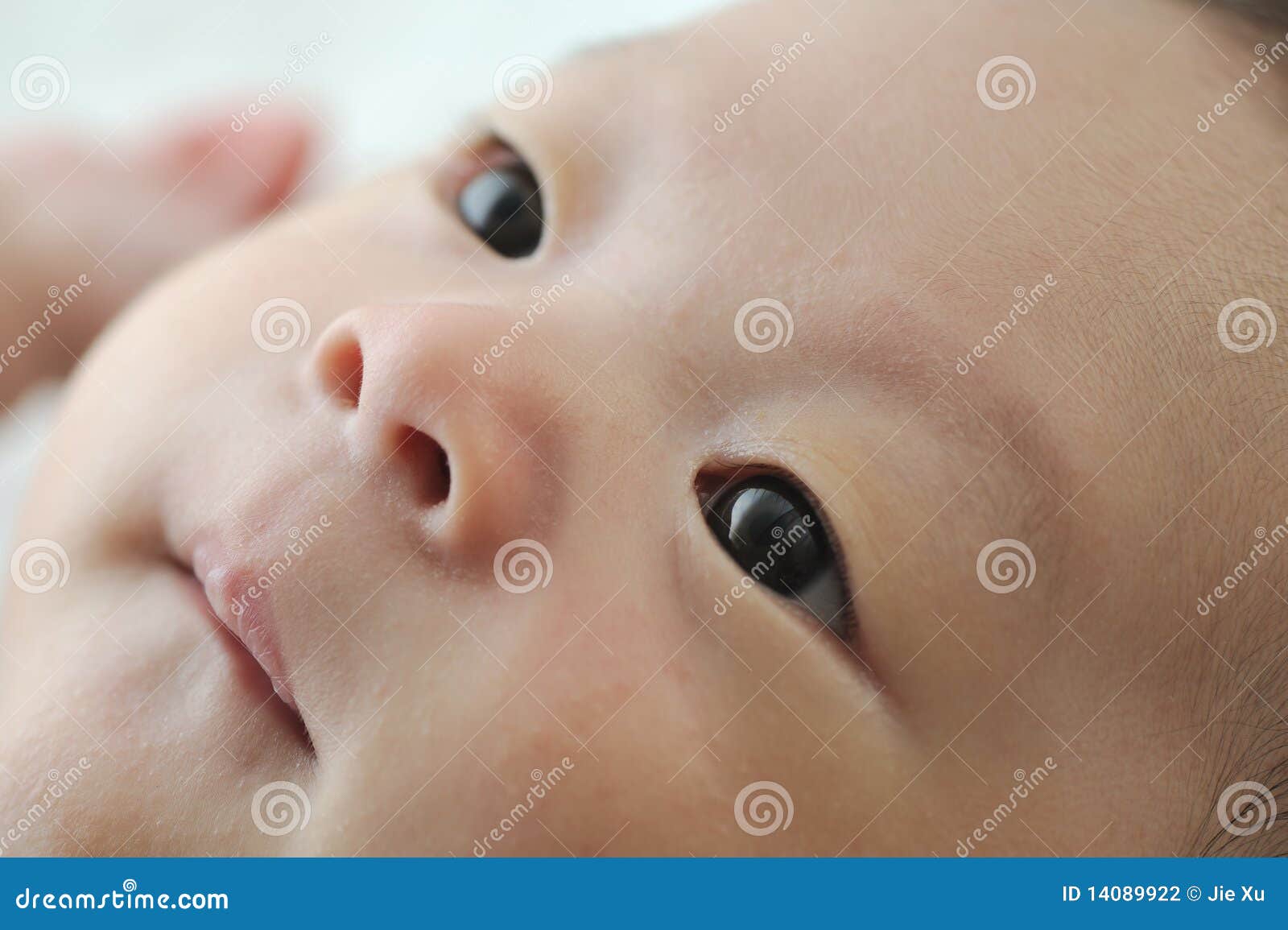 Face of an asian baby boy stock photo. Image of asian - 14089922