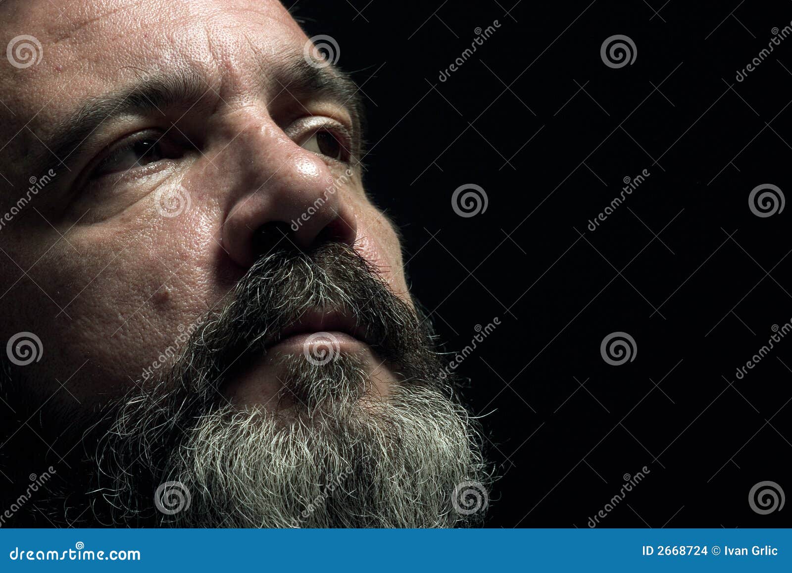 Face and barb stock photo. Image of frantic, mind, mister - 2668724