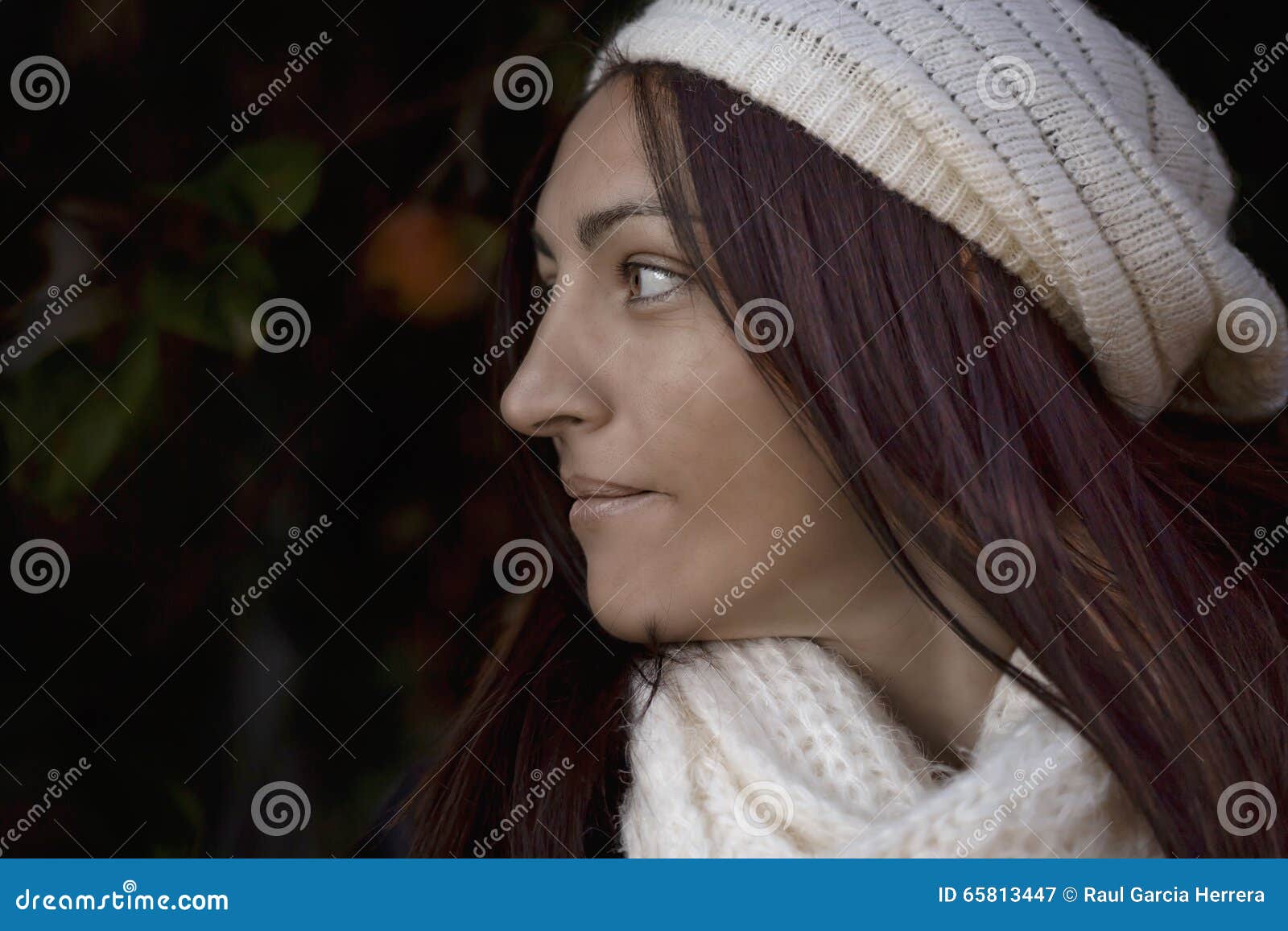 Face of a Beautiful Girl on a Cold Day Stock Image - Image of nature ...