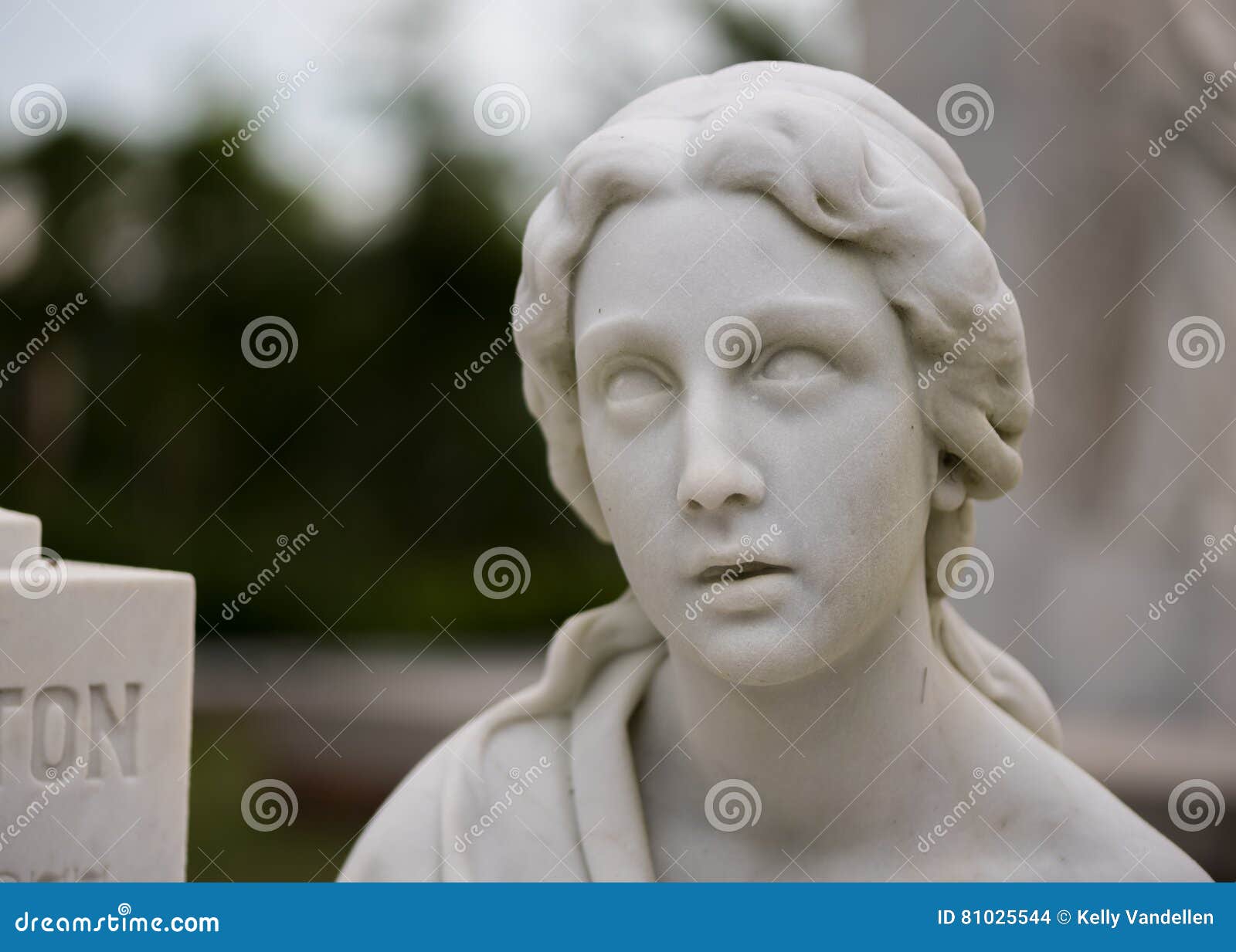 Face of the Bird Girl editorial stock image. Image of lips - 81025544