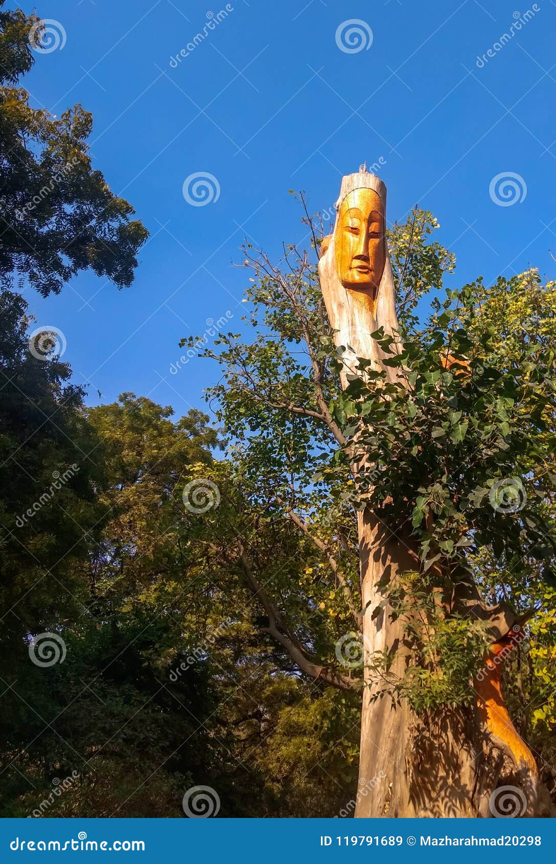 A face carved into a tree. stock image. Image of life - 119791689