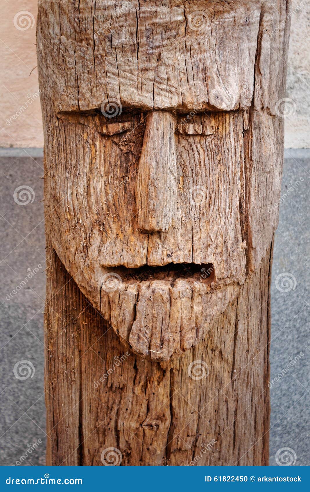 Face Carved in the Trunk of a Tree Representation of Elemental Stock ...