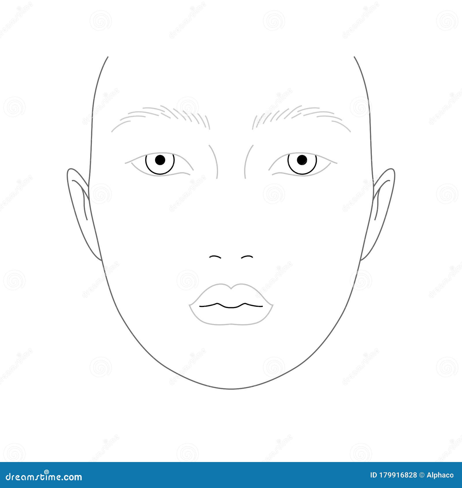Face Chart of Female Makeup Stock Vector - Illustration of cosmetic ...