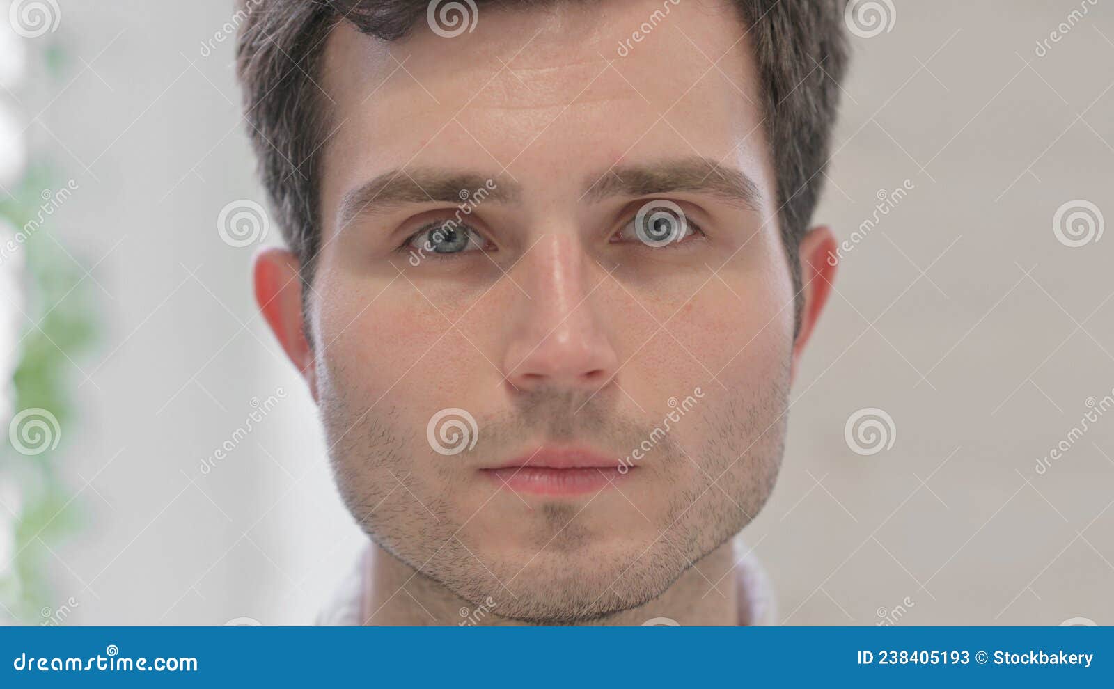 Face Close Up of Man Looking at the Camera Stock Image - Image of ...