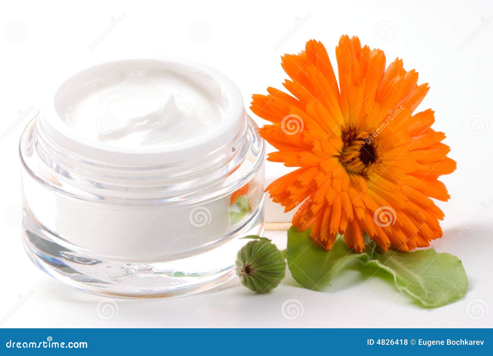 Face Cream and Calendula Flower Stock Photo - Image of beauty, healthy ...