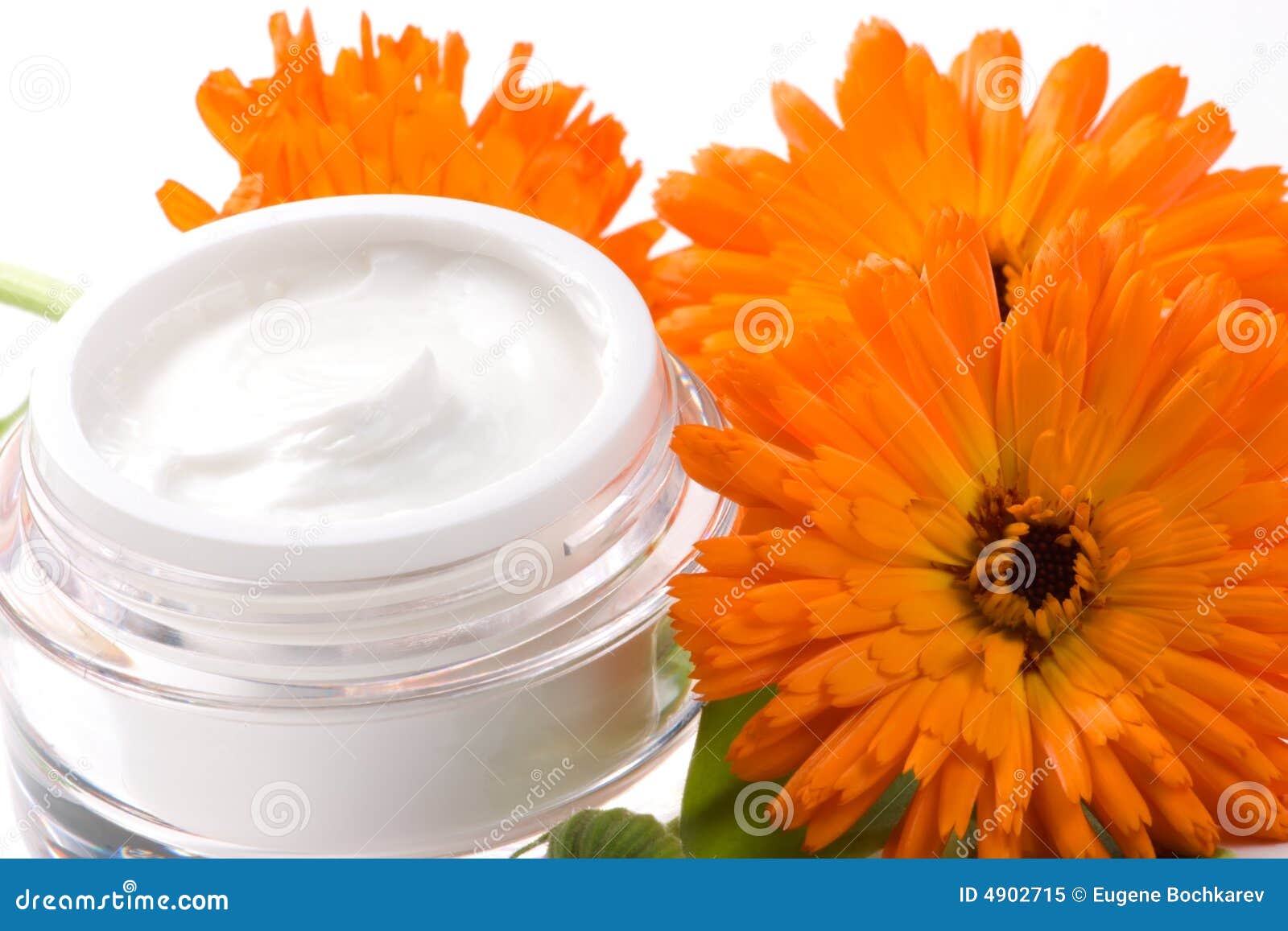 Face Cream and Calendula Flower Stock Image - Image of skincare ...