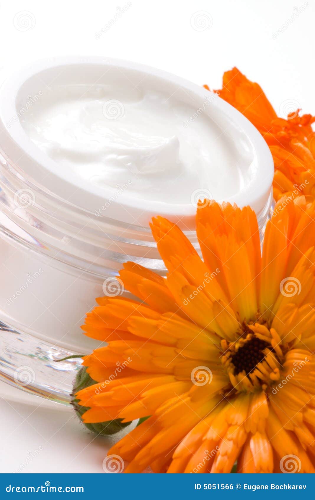 Face Cream and Calendula Flowers Stock Photo - Image of treatment ...